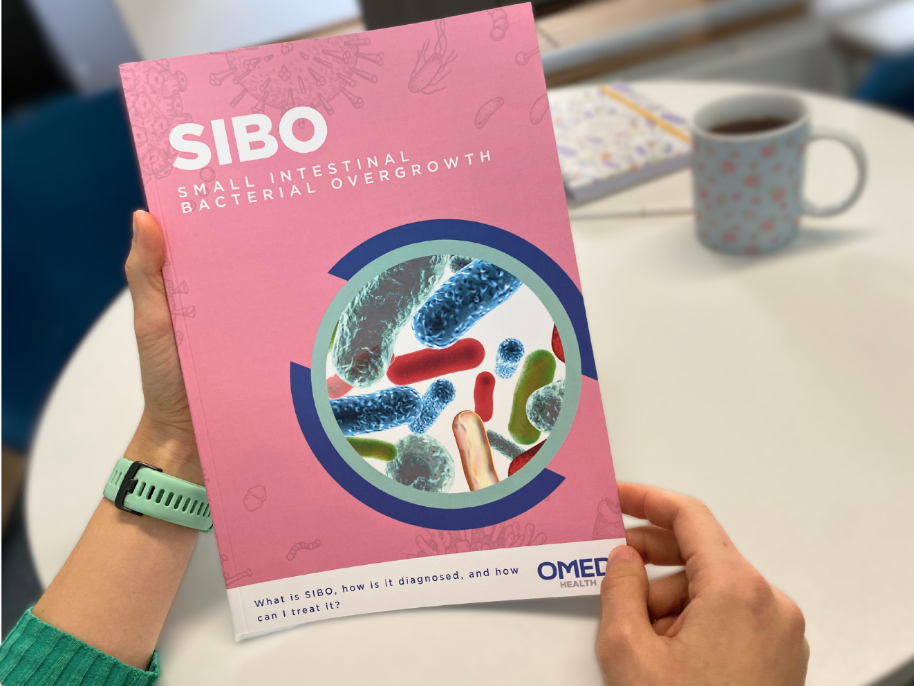 Understand SIBO Via The Latest EBook - OMED Health