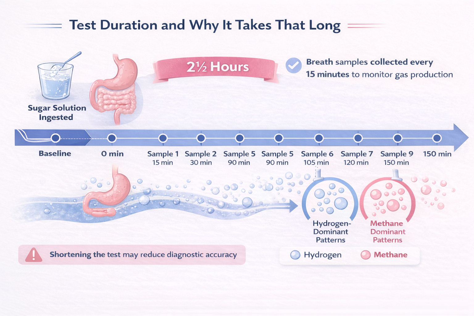 SIBO Breath Test Preparation | Diet & Medication Guide